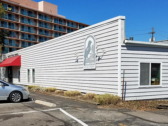 The iconic red awning of Blackbird Baking Co. beckons like a culinary lighthouse on Lakewood's shore, promising carb-laden treasures within.