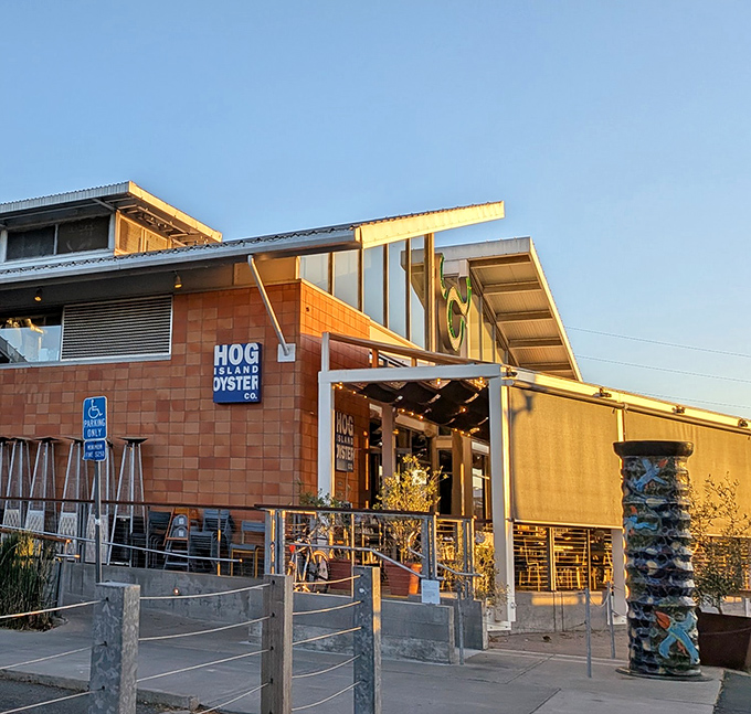 Modern architecture meets seafood sanctuary - where wine country decided to get serious about oysters.
