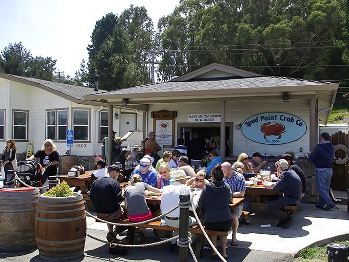 The daily pilgrimage begins! Hungry souls gather at this unassuming white shack where seafood dreams come true and diet plans go to die.