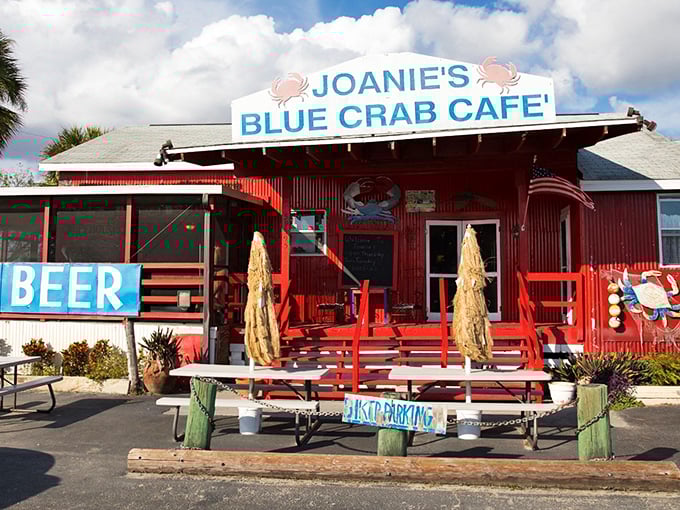 The crimson beacon of Ochopee! Joanie's Blue Crab Cafe stands proudly along the Tamiami Trail, promising seafood treasures to weary Everglades explorers.