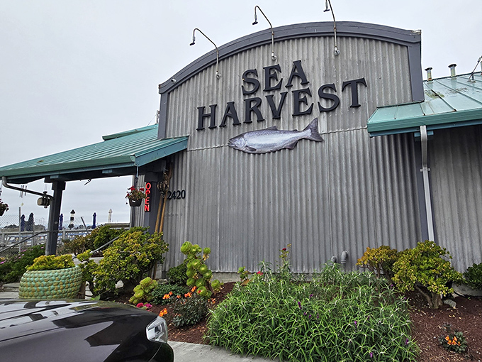 The corrugated metal exterior might scream "industrial warehouse," but that fish silhouette promises oceanic treasures within. No fancy facade needed when the seafood speaks for itself.