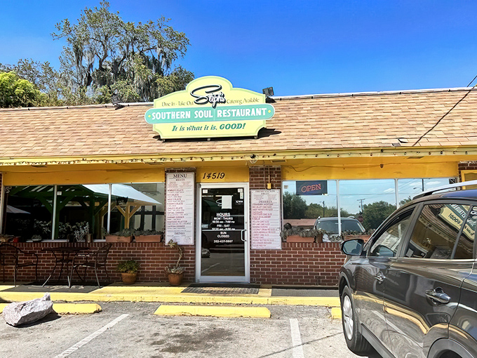 The bright yellow exterior of Steph's promises sunshine even on cloudy days. Their motto "It is what it is. GOOD!" isn't just clever marketing—it's a solemn vow.