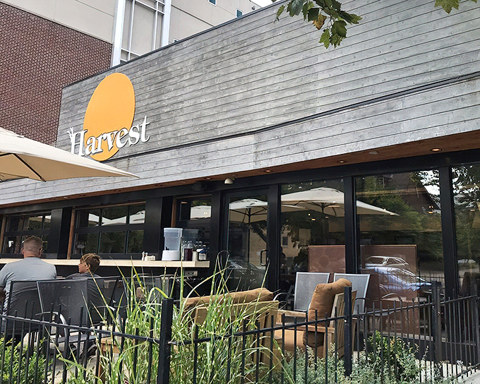 The welcoming exterior of Harvest Pizzeria beckons with its modern rustic charm and sunny logo—like a culinary lighthouse guiding hungry travelers home.