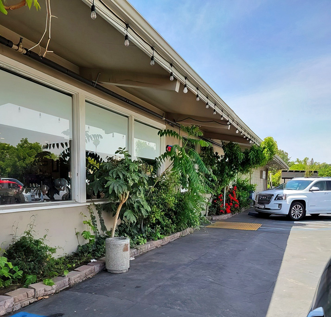 The unassuming exterior of Longhouse Restaurant proves once again that culinary treasures often hide in plain sight, string lights adding a touch of warmth.