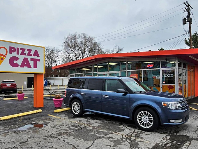 The bright orange exterior of Pizza Cat stands out like a beacon of culinary adventure in Toledo, promising pizza experiences that color outside the traditional lines.