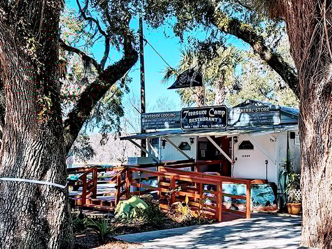 Nestled among Spanish moss and oak trees, Treasure Camp looks like it was plucked straight from a Florida folktale.