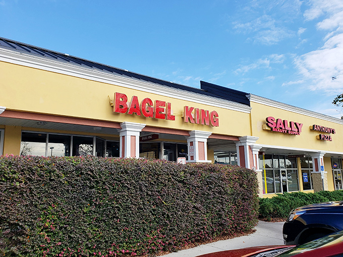 The bright yellow facade of Bagel King stands out like a beacon of carb-loaded hope in this Casselberry strip mall.