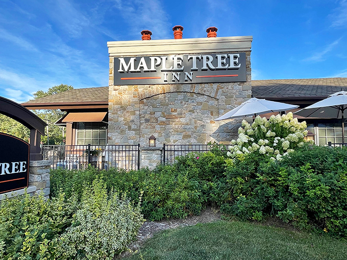 The stone facade of Maple Tree Inn stands proudly against a blue Illinois sky, promising Cajun delights within its welcoming walls.