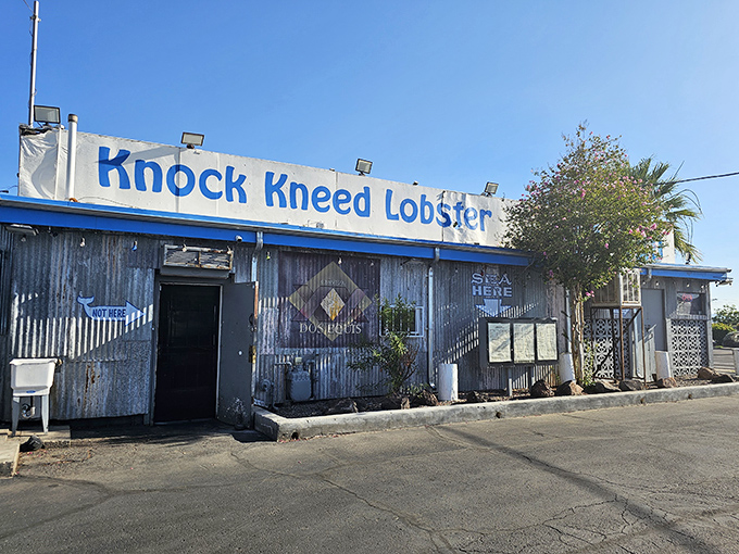 Don't judge this seafood sanctuary by its corrugated cover. Like a desert mirage that actually delivers, this unassuming exterior hides oceanic treasures within.
