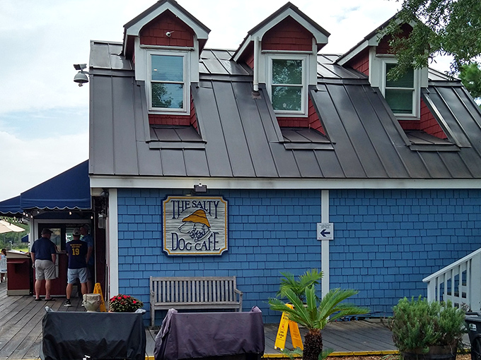 The iconic blue exterior of The Salty Dog Cafe stands like a maritime beacon, promising seafood treasures within its weathered coastal charm.
