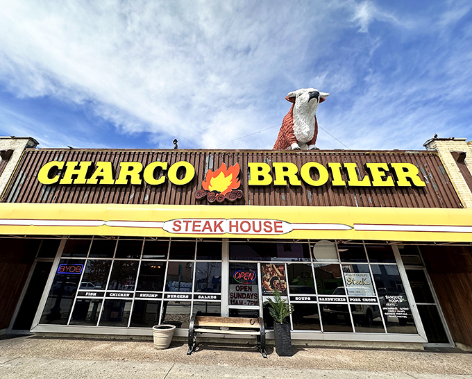 Look for the iconic steer perched atop that unmistakable yellow sign – like a bovine lighthouse guiding hungry Texans to beefy paradise.