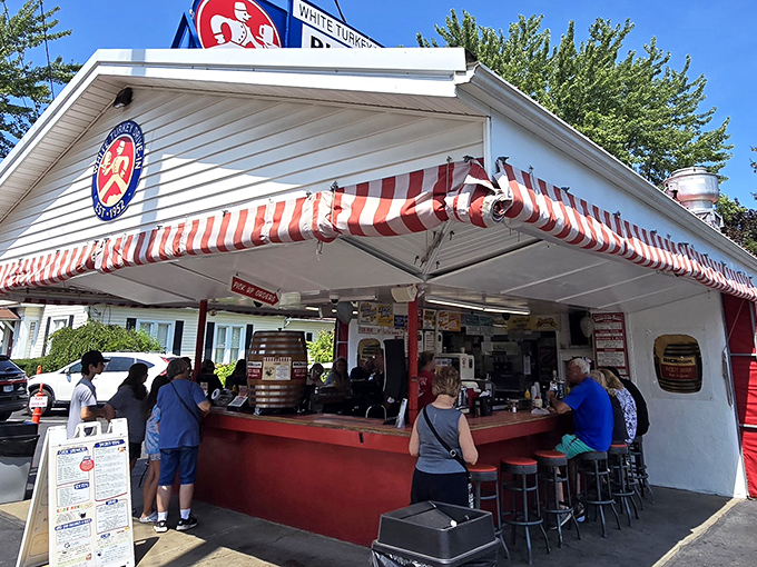 The iconic red and white striped awning of White Turkey Drive-In beckons like a summer mirage, promising cold root beer and hot sandwiches just steps away.