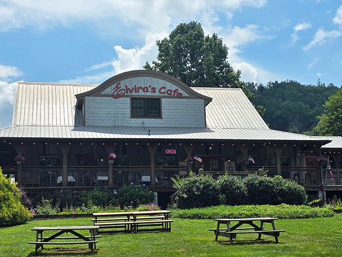 Mountain charm meets culinary delight at Elvira's Cafe, where that blue clapboard exterior and wraparound porch practically whisper "come sit a spell."