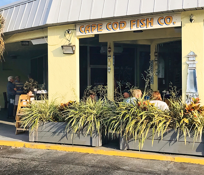 Cape Cod Fish Co's sunny exterior promises New England seafood excellence in the heart of Florida.