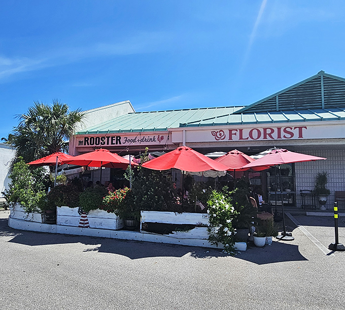 The Rooster's cheerful exterior with vibrant red umbrellas and lush flower boxes feels like Florida's answer to a Parisian sidewalk caf&eacute;&mdash;with better breakfast options.