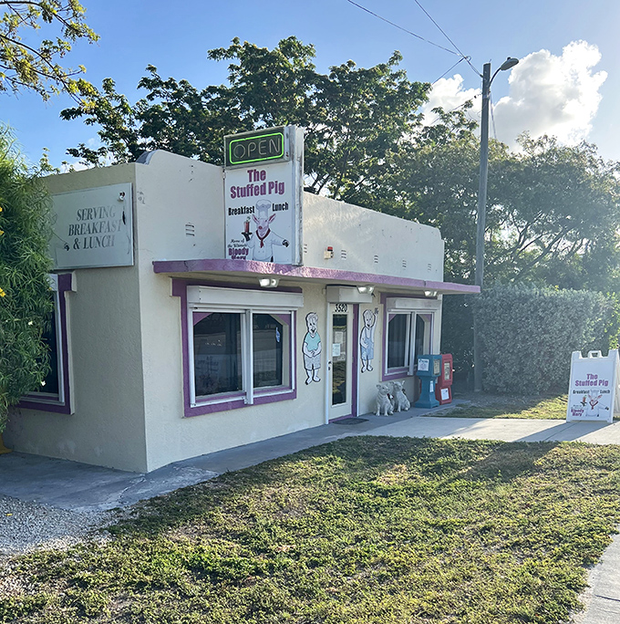The unassuming white building with purple trim might not scream "culinary destination," but locals know this modest exterior houses breakfast magic worth traveling for.