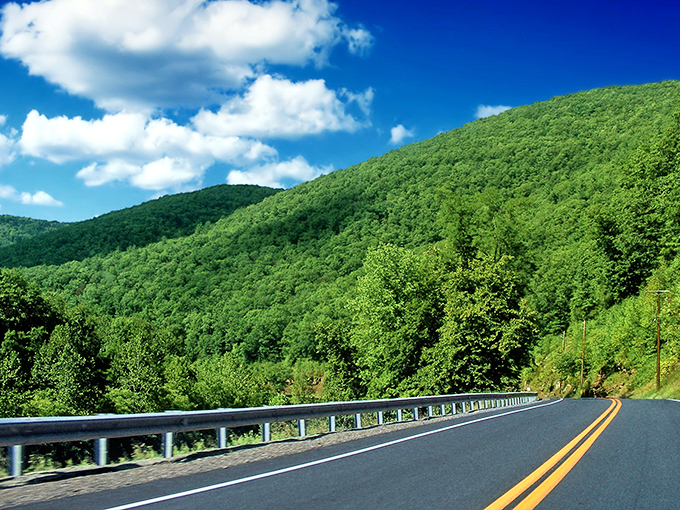 Mother Nature showing off her curves where asphalt meets emerald mountains. Pennsylvania's version of a runway model, just with better scenery.