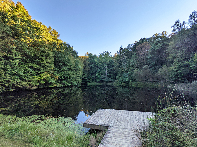 Nature's perfect plunge pool awaits at Boch Hollow. This hidden waterfall carves through ancient sandstone, creating a turquoise oasis that looks like it belongs on a travel influencer's bucket list.