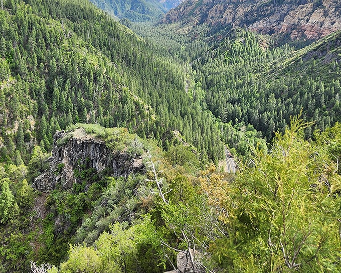 Nature's grand theater unfolds at Oak Creek Vista, where a verdant canyon stretches toward the horizon like a green carpet rolled out for royalty.