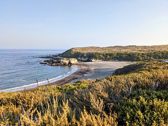 Nature's golden hour hits different when you're standing on California's most underrated coastline.