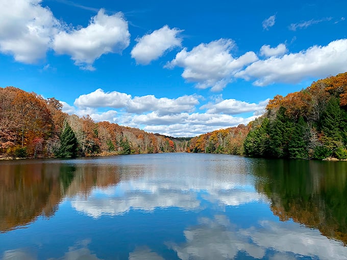 Mirror, mirror on the lake&mdash;autumn's fiery display doubles its impact when reflected in Rose Lake's glass-like surface. Nature showing off at its finest.
