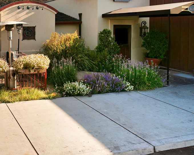 A garden oasis greets diners with lavender and ornamental grasses. Nature's appetizer before the main event begins.