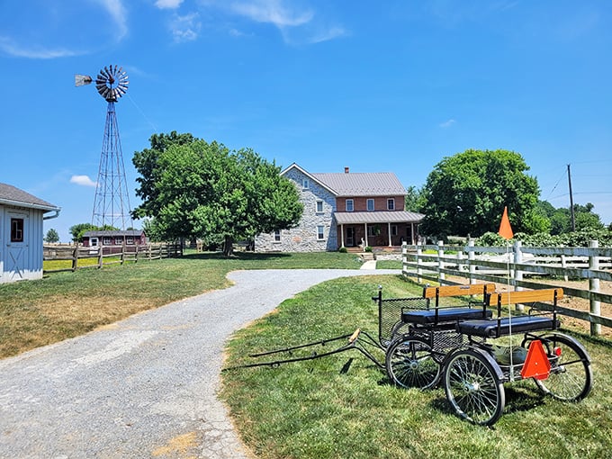 Old Windmill Farm welcomes you with a classic Amish buggy parked beside a gravel path leading to simpler times.