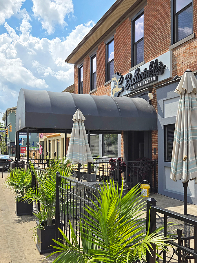 Bullwinkle's brick exterior with its signature black awning and tropical patio plants creates that perfect "come as you are, leave happier" neighborhood vibe.