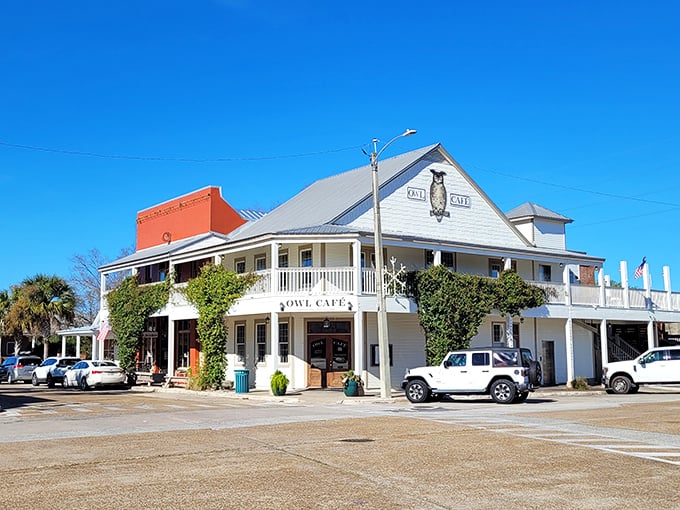 The Owl Cafe stands proudly on its corner in downtown Apalachicola, its white clapboard exterior and wraparound porch practically whispering "come on in, y'all."