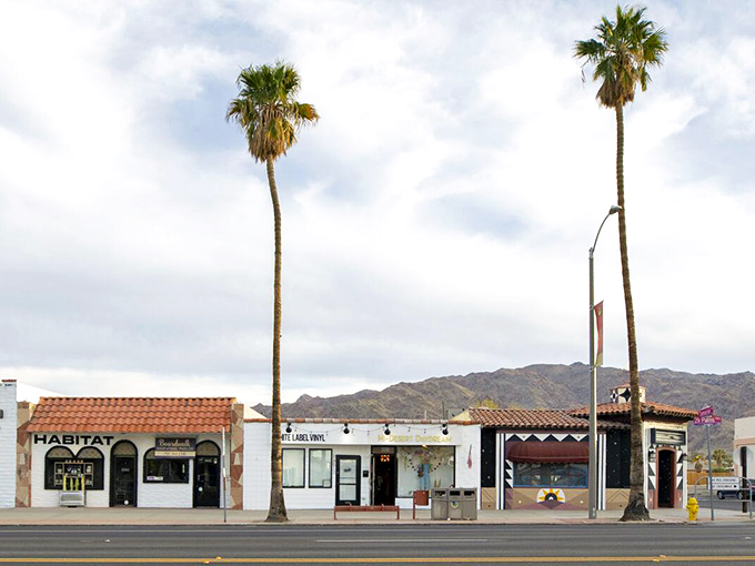 Palm trees stand sentinel over Joshua Tree's main drag, where quirky shops and desert charm create California's most delightful high desert oasis.
