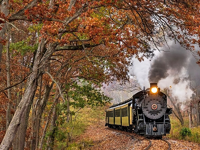 Steam, leaves, and a little magic&mdash;this train rumbles through fall like it&rsquo;s got somewhere cozy to be by sundown.