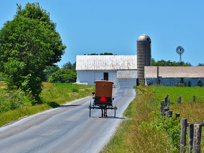 Where time slows down: An Amish buggy approaches a classic Pennsylvania farm, creating a scene that hasn't changed in over a century.