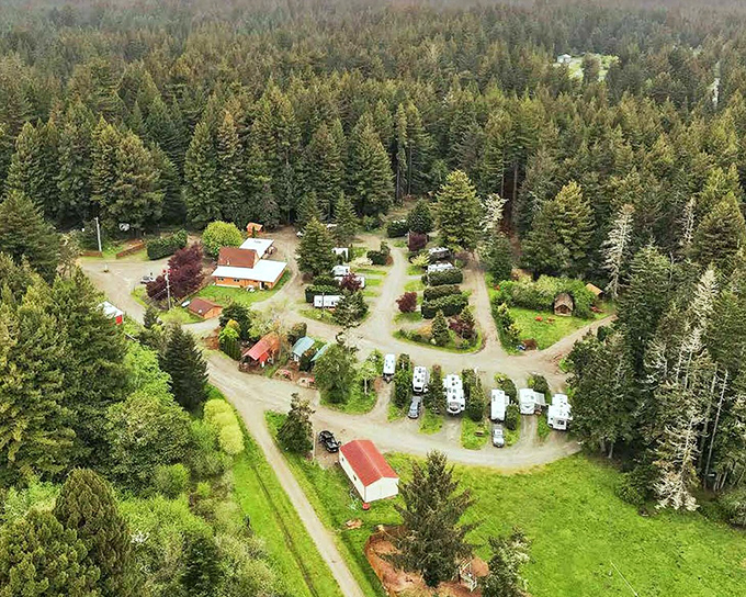 Crescent City unfolds like a perfect postcard, where the curved shoreline embraces the Pacific in a gentle hug that gives this affordable paradise its name.