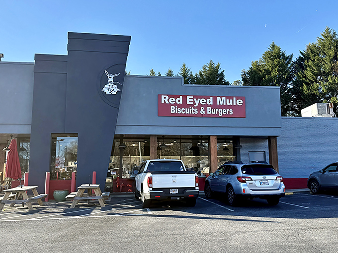 The unassuming exterior of The Red Eyed Mule hides culinary treasures within. Like finding a diamond in a strip mall, this Marietta gem promises biscuit nirvana.