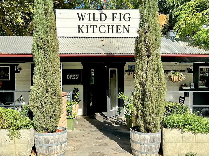The entrance to Wild Fig Kitchen beckons with tall cypress sentinels standing guard, promising culinary adventures behind that unassuming country-chic facade.