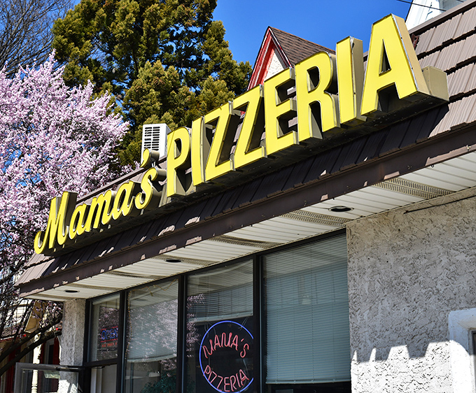 The iconic yellow Mama's Pizzeria sign stands out against the blue sky, with cherry blossoms adding a touch of natural beauty to this culinary landmark.
