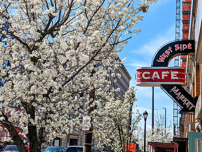 Spring blossoms frame the vintage caf&eacute; sign, creating that perfect moment when nature and nostalgia dance together on a Cleveland morning.