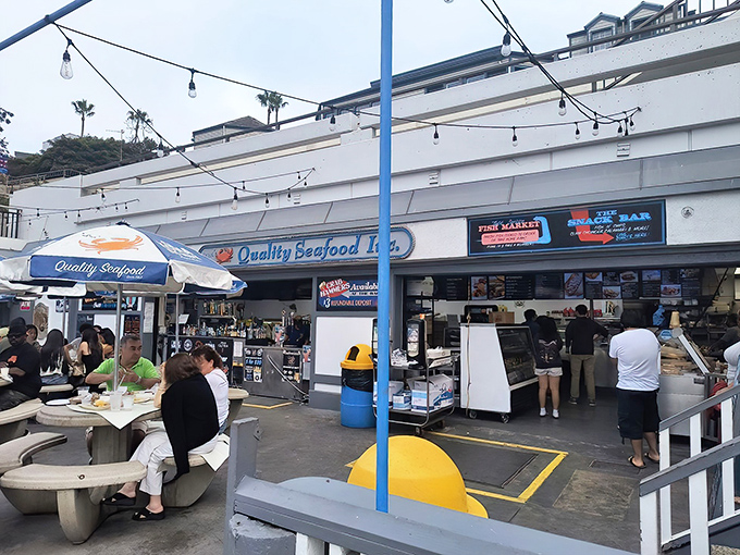 This unassuming storefront holds treasures that would make Poseidon jealous &ndash; and parking's easier than finding Nemo.