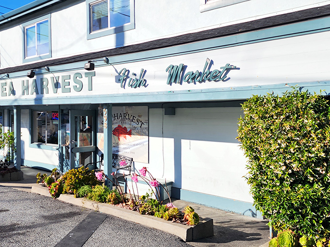 The unassuming exterior of Sea Harvest belies the seafood treasures within. Like finding a pearl in an oyster, this Monterey gem rewards those who venture beyond the flashy tourist spots. 