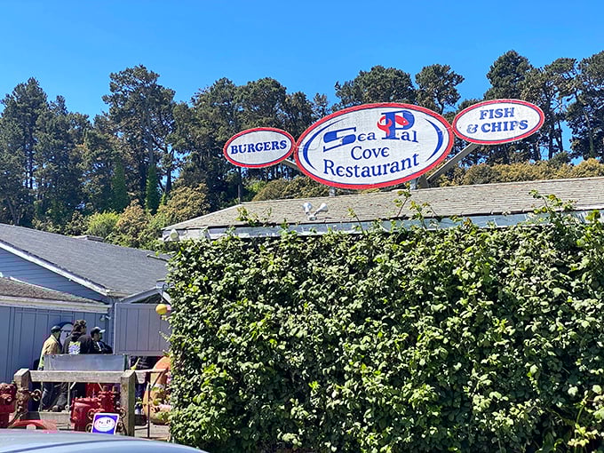 The sign says it all: burgers and fish & chips, surrounded by coastal pines. Like finding a treasure map where X marks the delicious spot.