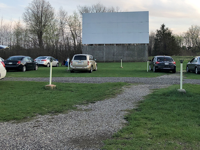 Trucks and SUVs line up facing the blank canvas of possibility. Soon, movie magic will transform this field into a communal living room under the stars.