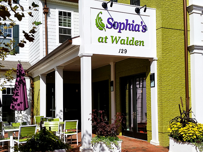 The cheerful lime-green exterior of Sophia's at Walden beckons like a culinary lighthouse, promising delicious refuge from ordinary dining experiences.