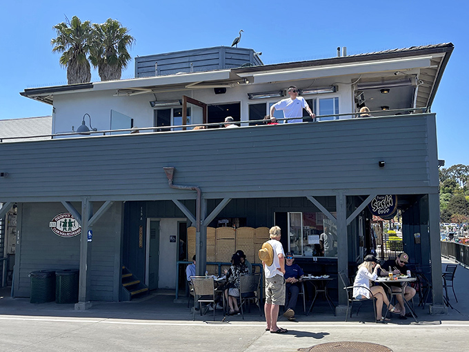 The California dream, served with a side of seafood. Brophy Bros. stands proudly against the Santa Barbara sky, promising maritime delights with zero pretension.