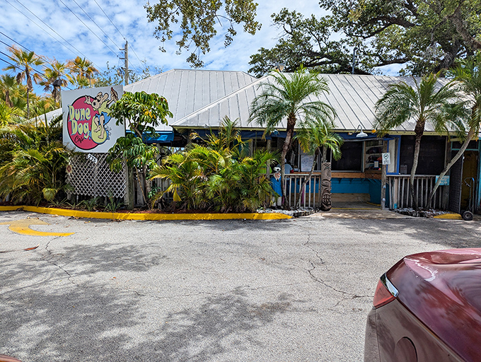 The tropical paradise of Dune Dog Cafe beckons with its colorful surfing dog logo and lush palm surroundings. Florida dining at its most authentic.