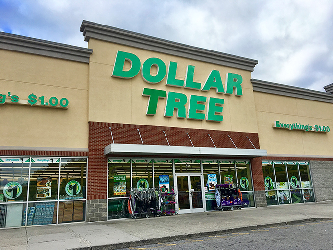 The iconic green signage beckons like a siren call to bargain hunters. This isn't just shopping&mdash;it's a treasure hunt with guaranteed rewards.