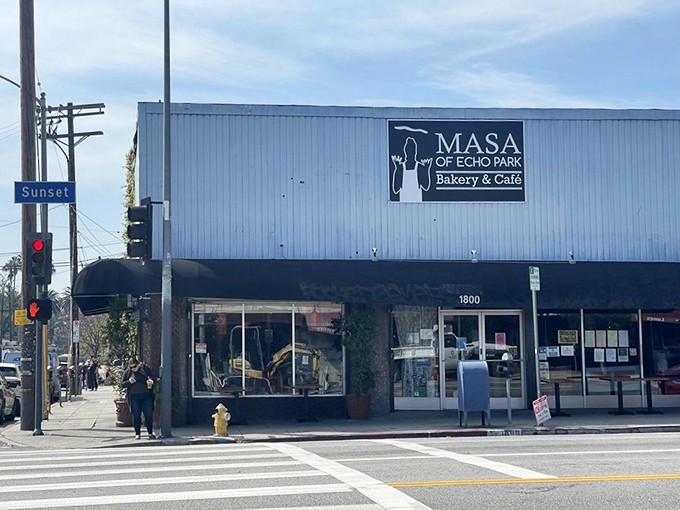 The unassuming white exterior of Masa hides culinary treasures like a poker player with four aces and a straight face.