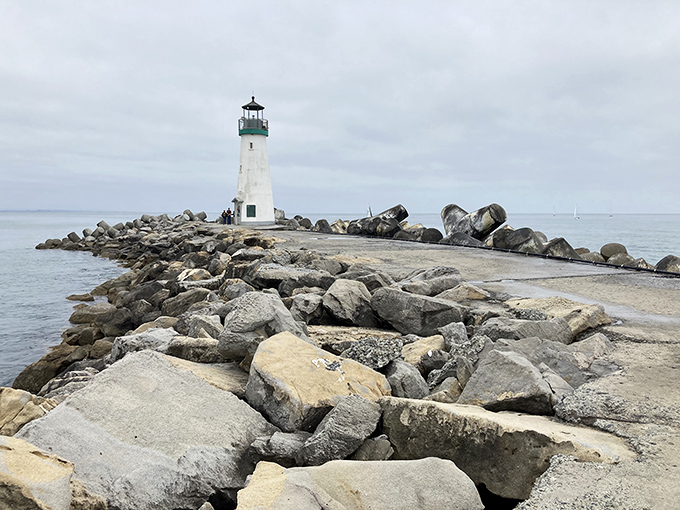 The jetty path to Walton Lighthouse offers nature's version of a red carpet, with the Pacific providing a stunning blue backdrop for your maritime adventure.