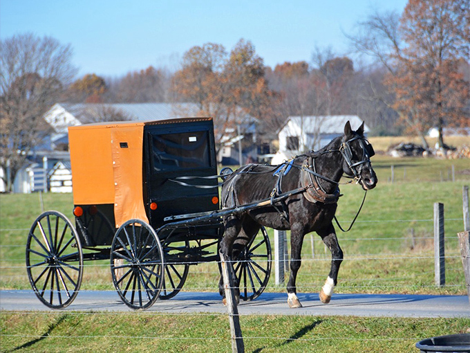 The iconic orange-topped Amish buggy &ndash; where horse-powered transportation isn't retro, it's simply the way of life in New Wilmington.