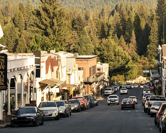 Broad Street beckons with its Gold Rush charm, where Victorian facades meet towering pines in a scene straight from a historical postcard.