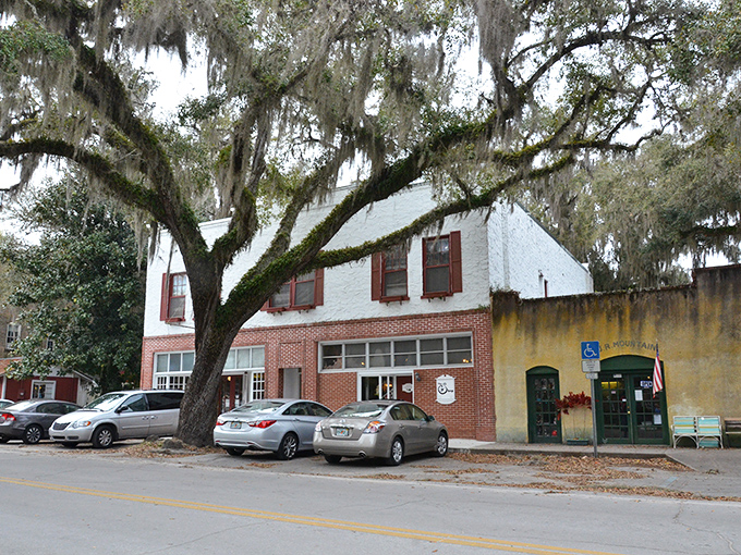 Spanish moss drapes over Micanopy's historic buildings like nature's own decorating committee decided this town deserved extra charm.